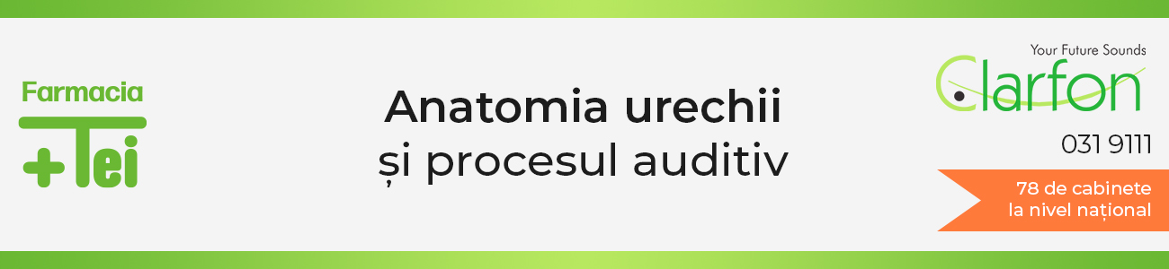 Anatomia urechii : Farmacia Tei online