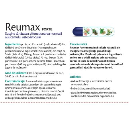 Reumax Forte, 30 capsule, Rotta Natura : Farmacia Tei online