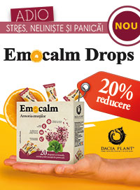 Farmacia Tei